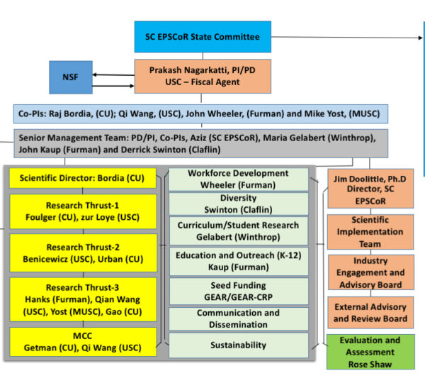 MiSC Organization Chart - South Carolina EPSCoR